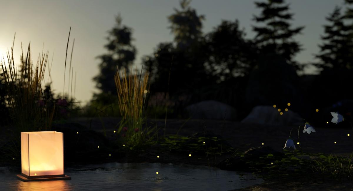 The Silent Disappearance of Fireflies: Can We Still Save Them? | See ...